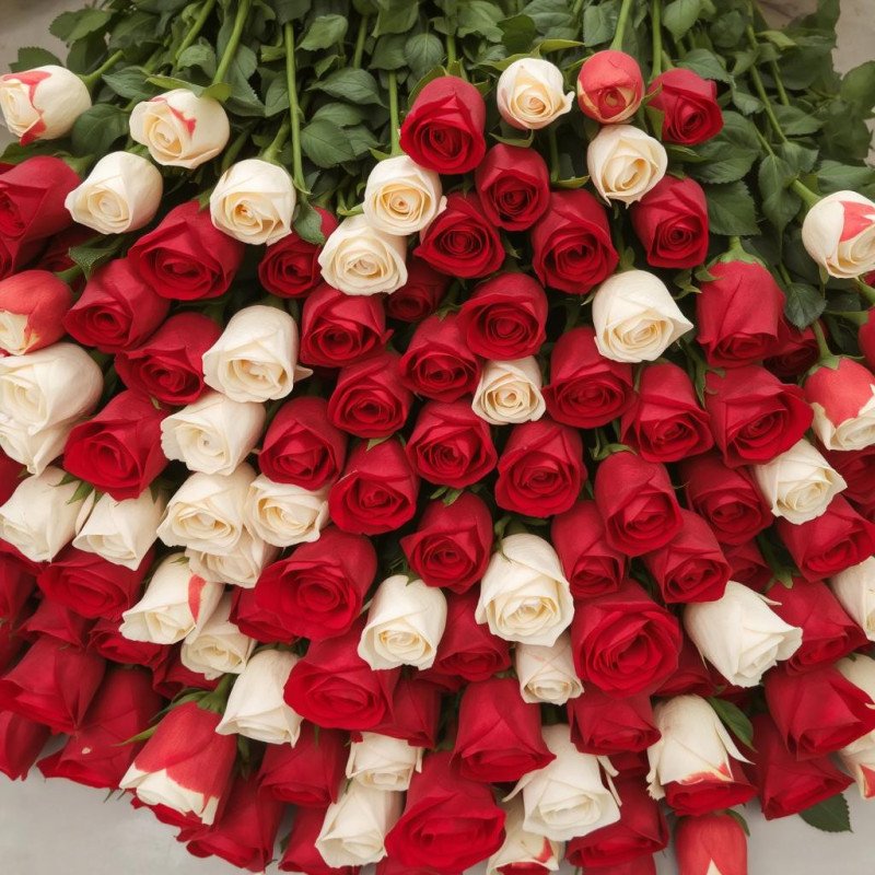 100 Red & White Roses | Valentine's Day Gifts